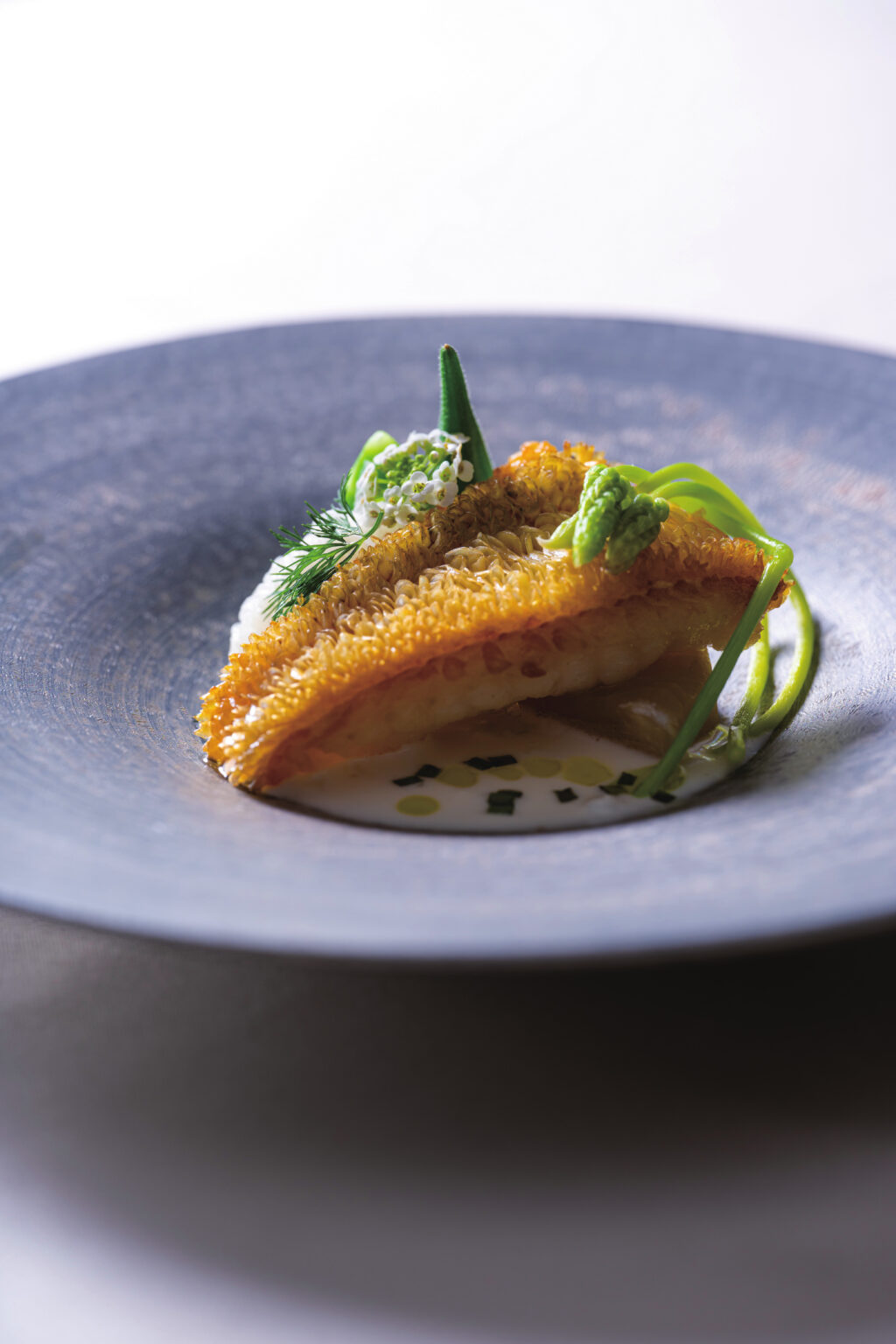 【締切りました】クラフト酒と巨匠坂井の魂が息づくフレンチが織りなす、一夜限りの特別ペアリングディナー｜三井港倶楽部 × モトックス共同企画 日本酒の会2025｜お知らせ｜三井港倶楽部